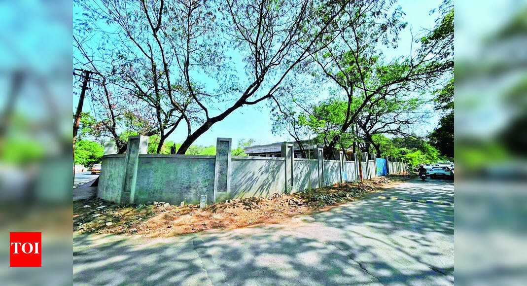 High-Value Bungalows: Two high-value bungalows sealed at prime Camp ...