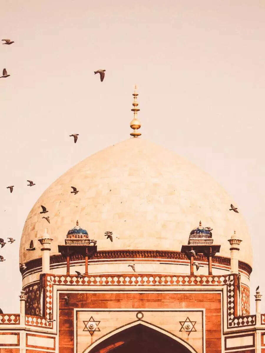 Travel To The Top 10 Cleanest Cities In India | Times Now