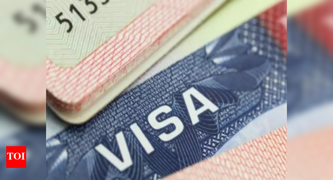 H-1B visas: USCIS rides the digitisation wave, organisational accounts ...