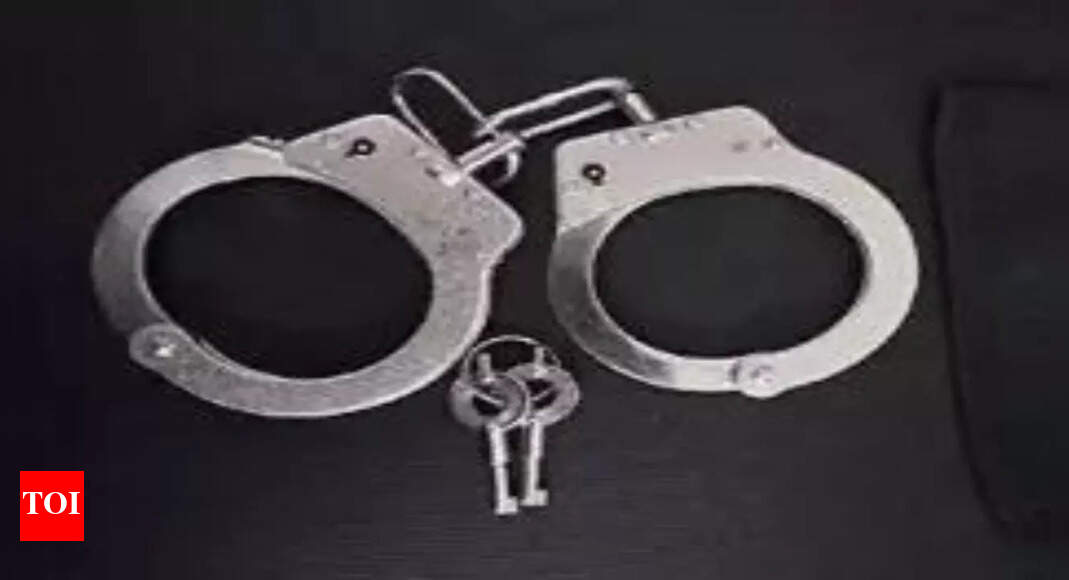 Cop stop Pune-Goa flight nab fraudster who tried to fly to Goa with his ...