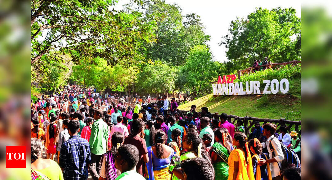 Zoo: Crowds throng zoo; more visitors expected for next two days ...
