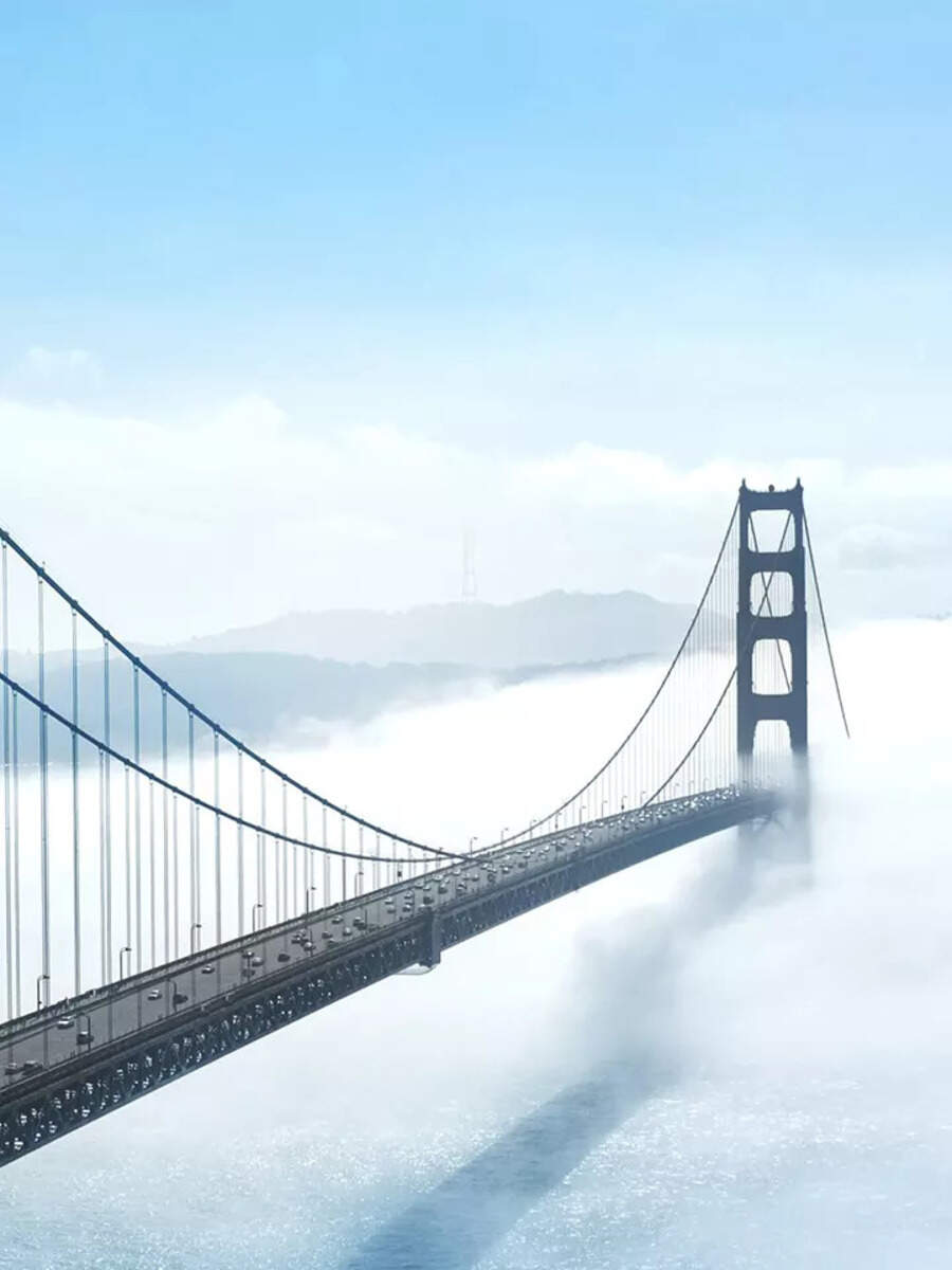 Discovering the architectural marvels of famous bridges in the USA ...