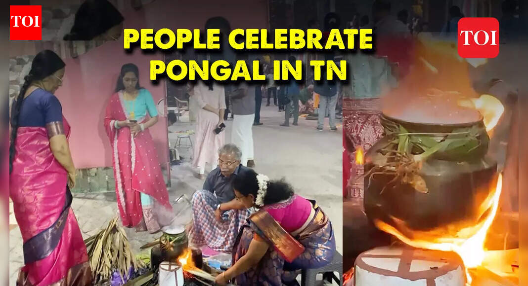 People celebrate Pongal with joy and fervor in TN’s Thoothukudi