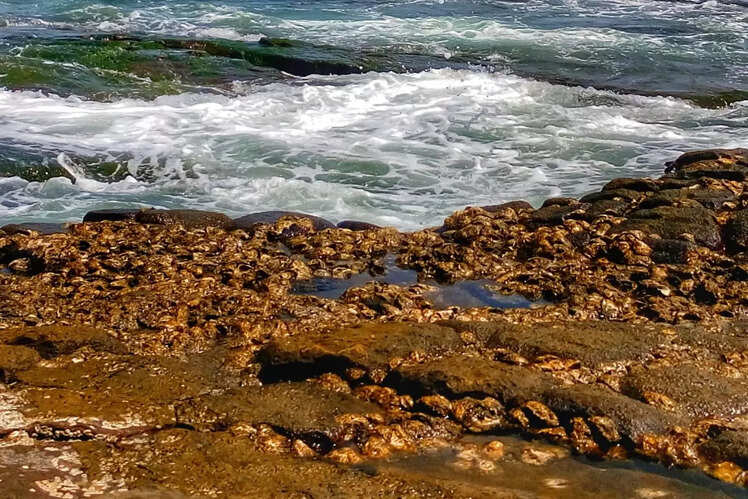 Udupi Karnataka: EXPLORING UDUPI IN KARNATAKA: A GUIDE TO THE ...