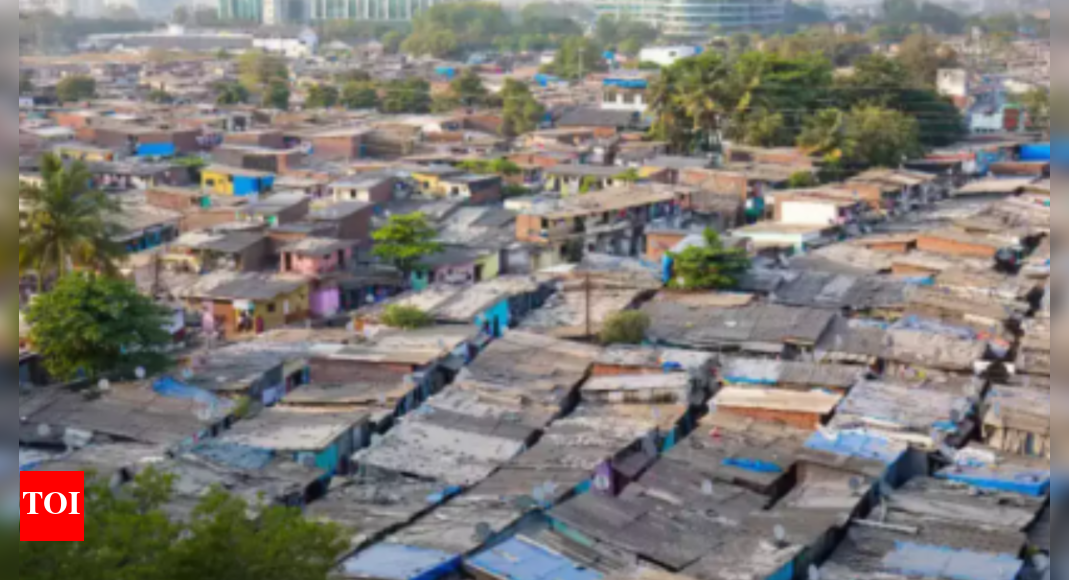 Survey of Dharavi notified area to kick off in 2 weeks | Mumbai News ...