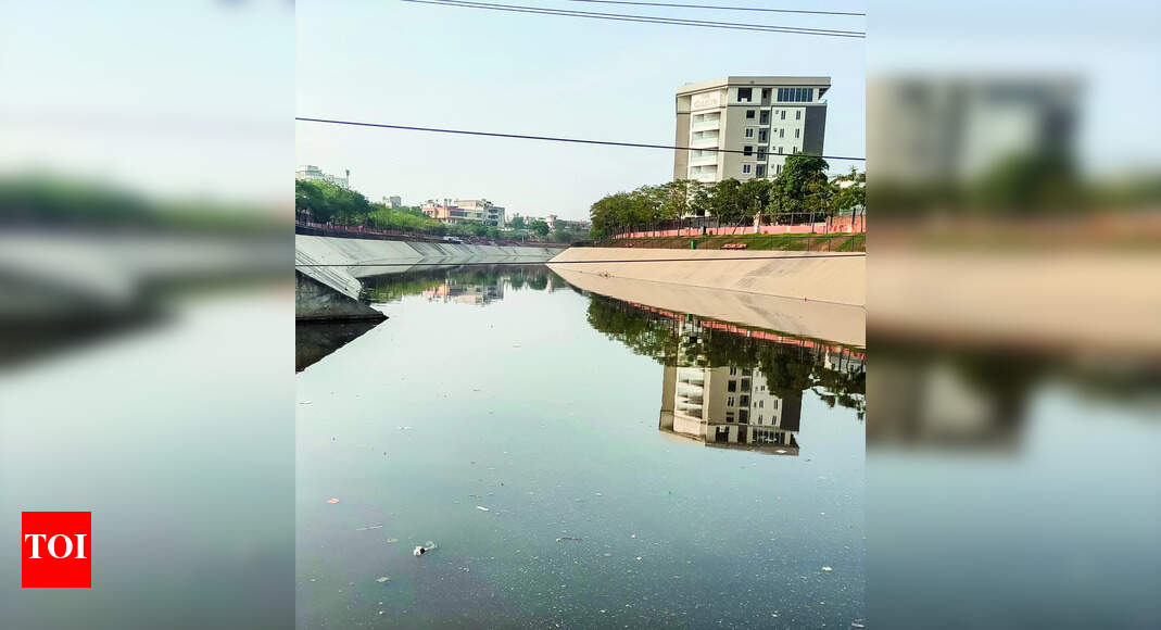 JDA to Restore 600-metre Stretch of Dravyavati River After Dispute ...