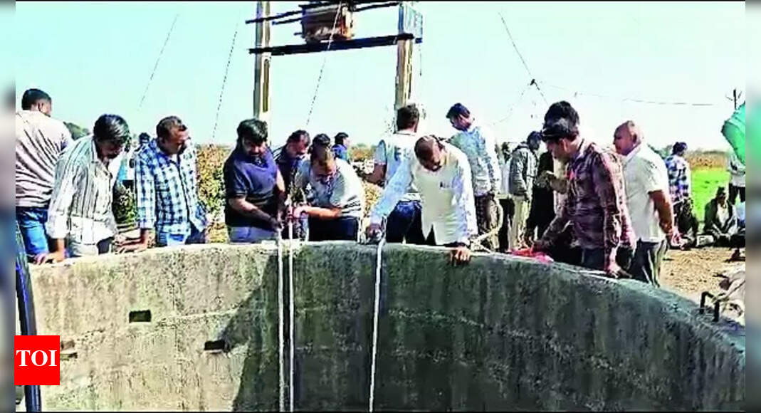 Triple Murder: Triple Murder Revealed: Death of Family Believed to be ...