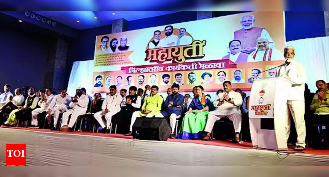 Mahayuti: Mahayuti leaders plan meets in assembly seats for LS win ...