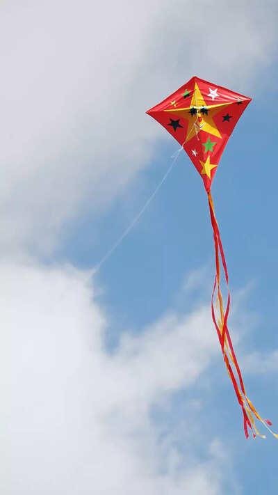 Kite Flying: Tragic Kite Flying Accidents: 2 Students Fall to Death in ...