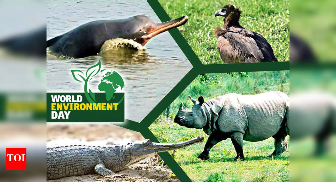 How did India revive its near-extinct species?