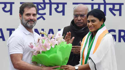 YS Sharmila Reddy made Andhra Pradesh Congress president | India News - Times of India