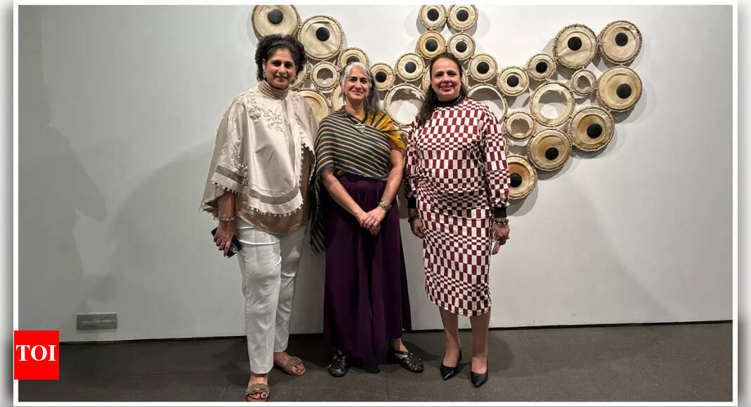 Artist Seema Lisa Pandya’s creation with old tabla heads fascinates art ...