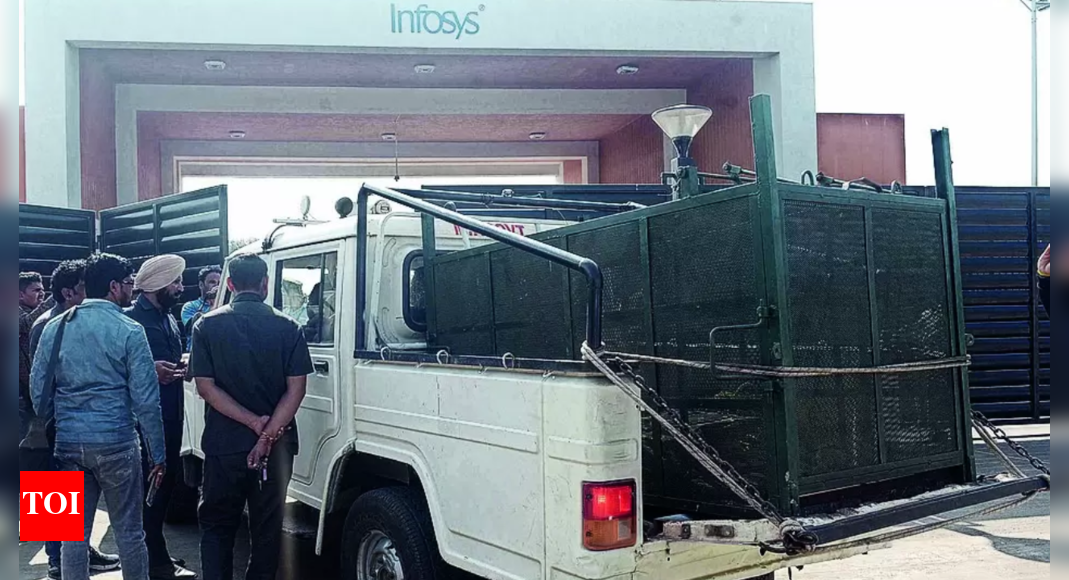 Indore Infosys: Leopard's walk-in triggers panic on Infosys campus in ...