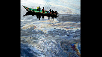 Bio-dispersants from Gujarat to clean oil traces in mangroves | Chennai ...