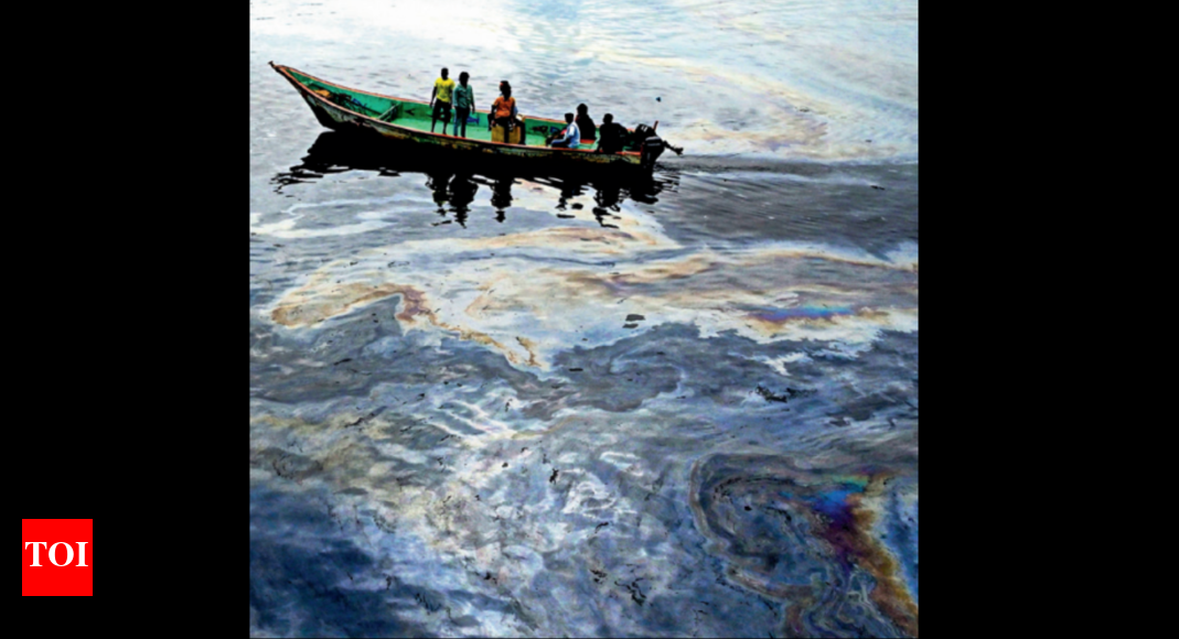 Bio-dispersants from Gujarat to clean oil traces in mangroves | Chennai ...