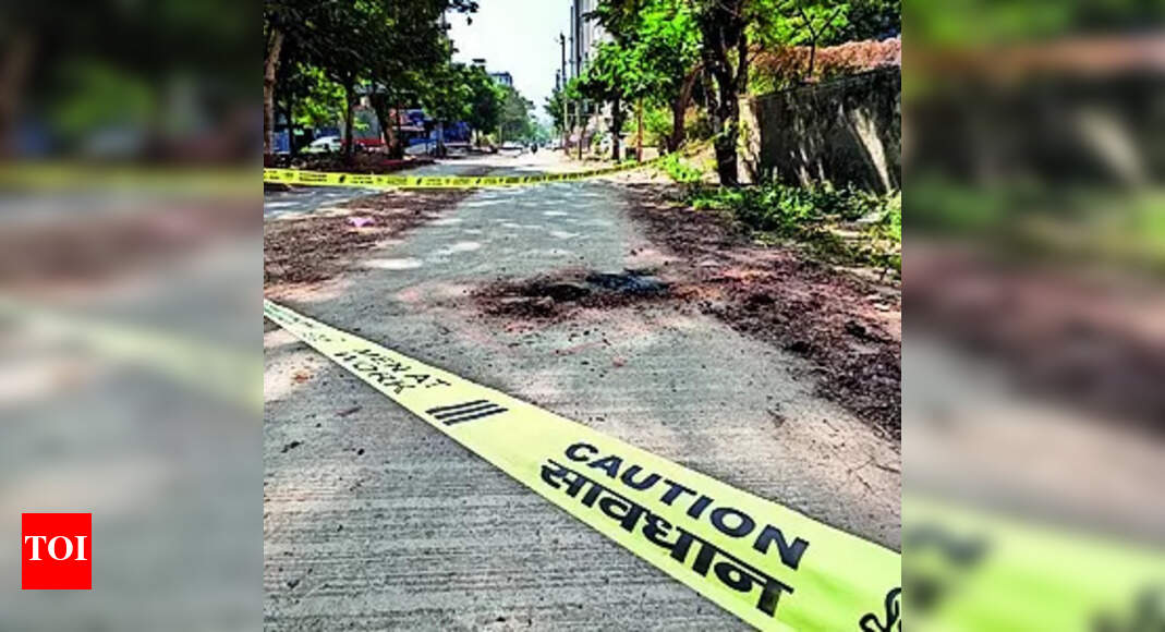 Fireman: 41-yr-old Fireman Tries To Save Entangled Bat, Electrocuted ...