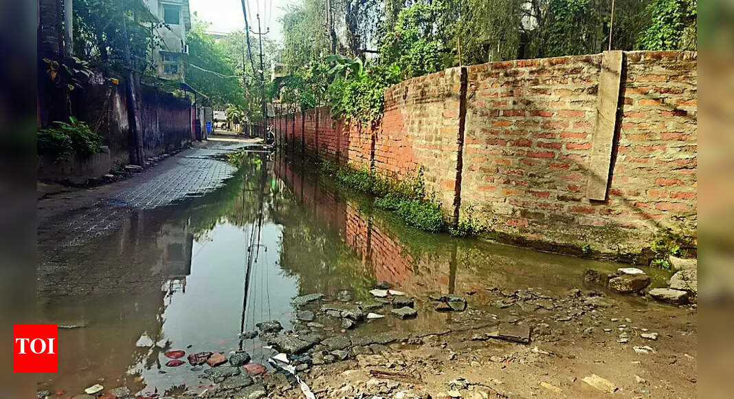 Drainwater: ‘drainwater Keeps Ward 54 Flooded For Six Months A Yr ...
