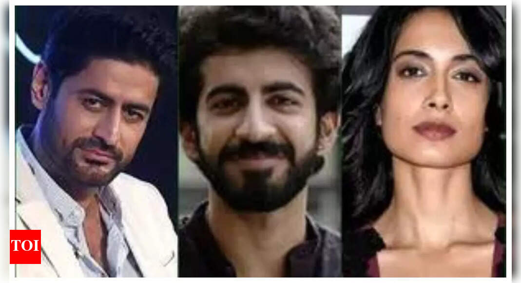 Indian Remake of Israeli Drama 'Magpie' - Mohit Raina, Roshan Mathew ...