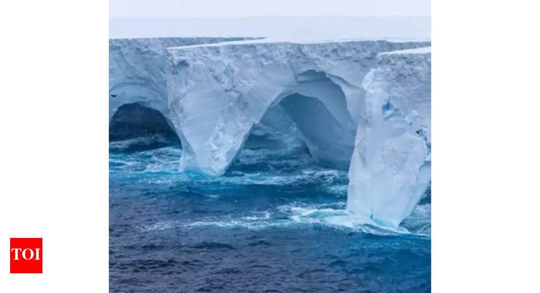 Photos: The last voyage of Earth's largest Iceberg A23a - Times of India