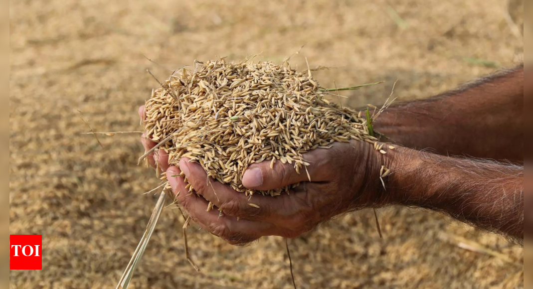 Procurement of 10 LMT of parboiled rice from Odisha urged | Bhubaneswar ...