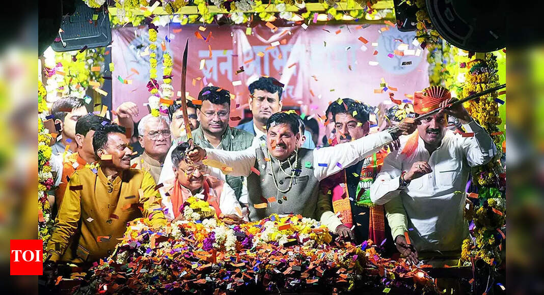 Indore: Indore To Get Flyover On Brts From Lig Square To Navlakha ...