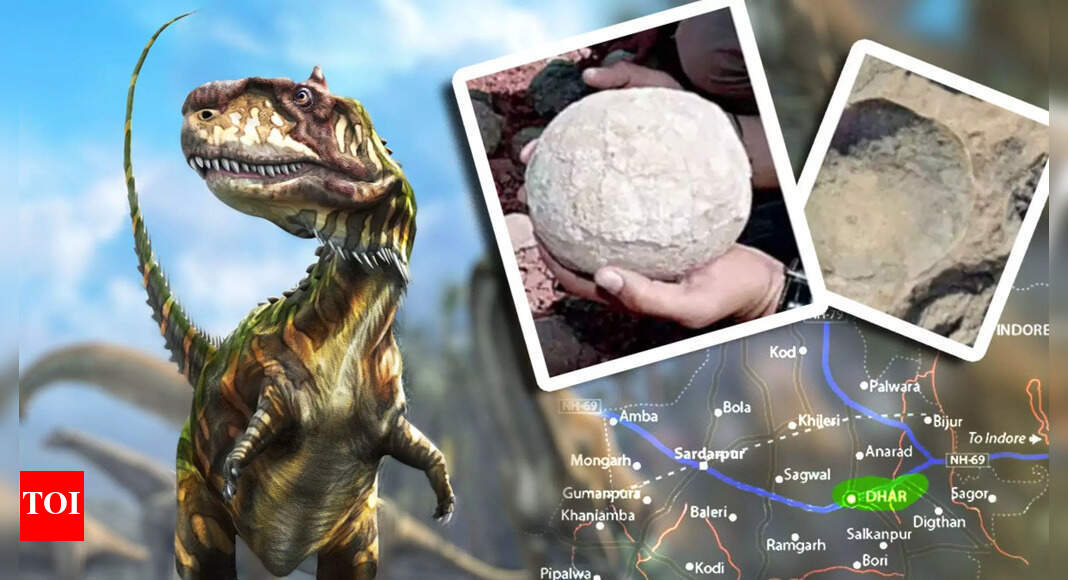 India’s Jurassic Park: How dinosaur fossils in Central India are ...