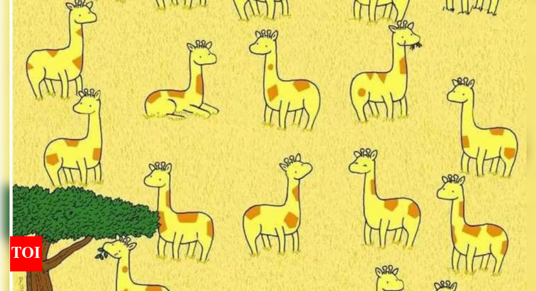 Optical Illusion: Find the odd giraffe in this picture | - Times of India