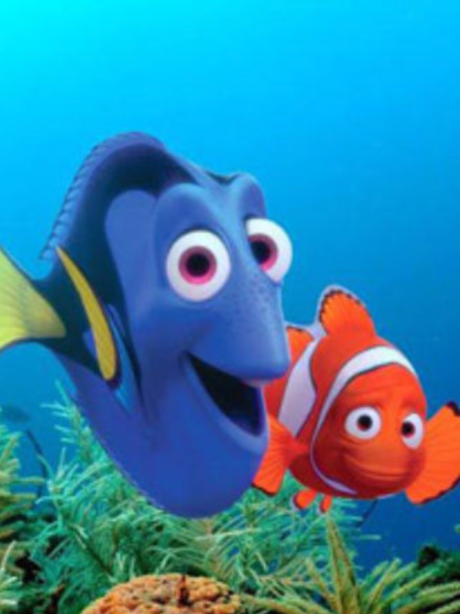 10 Aquarium Fish From Finding Nemo That You Can Own | Times Now