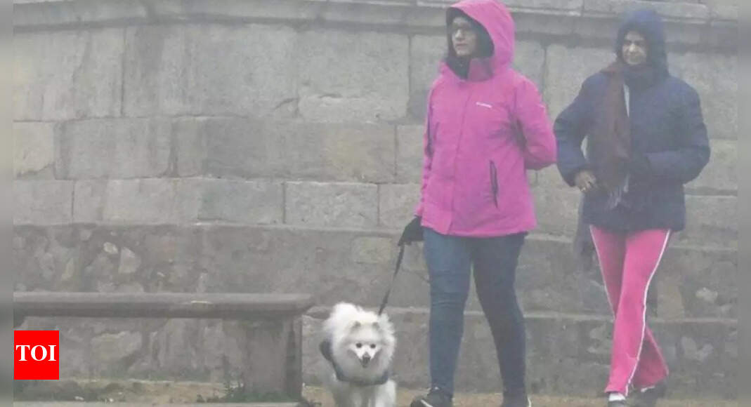 Friday freeze: 'Cold day' returns as fog keeps sun out, north wind ...