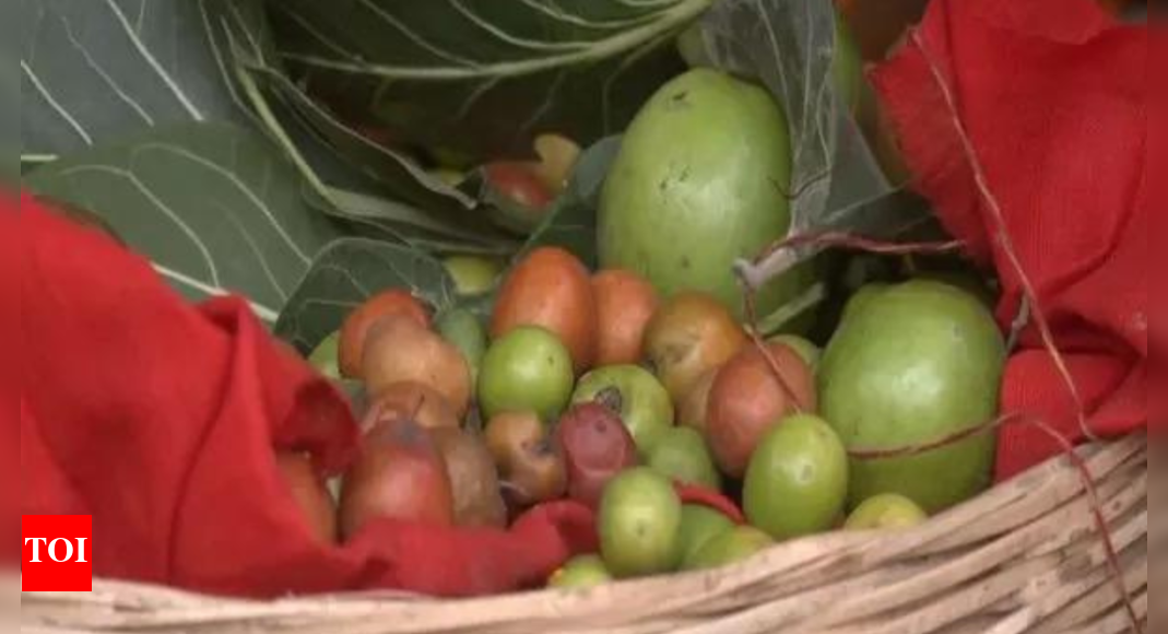 Devotees from Chhattisgarh bring 'Sweet Ber' fruit to Ayodhya ahead of ...