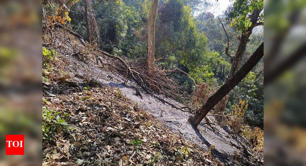 New incidents of illegal tree felling haunt Mhadei Wildlife Sanctuary ...