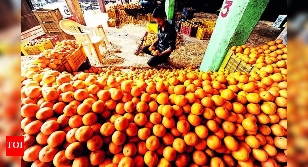 Kinnow: Juice a no go: ‘King fruit’ needs processing | Punjab Agro Industries Corporation ...