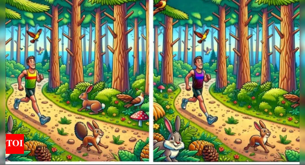 Spot the Differences in Optical Illusions and Test Your High IQ ...