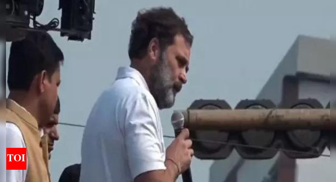 Rahul Gandhi Accuses Rss Bjp Of Spreading Hatred In Society To Distract