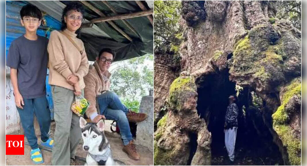 Aamir Khan, Kiran Rao, and Azad Rao's Delightful Family Road Trip After ...