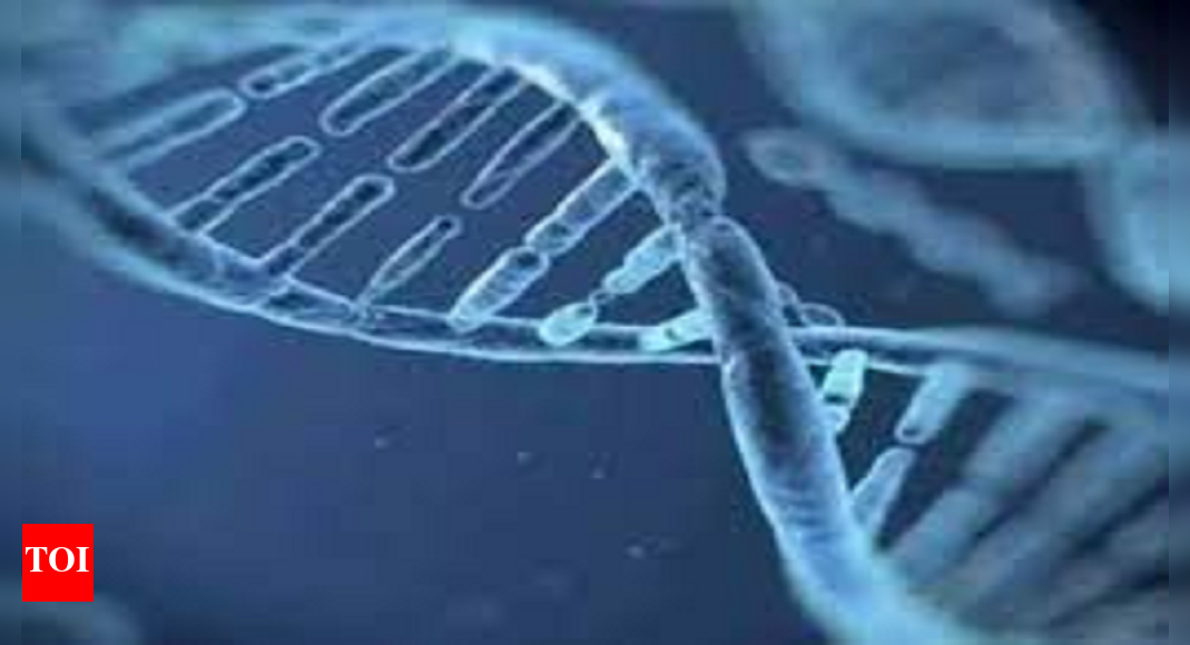 ‘genetic Lineages Of Ladakh & Tibet Same’ | Hyderabad News - Times of India