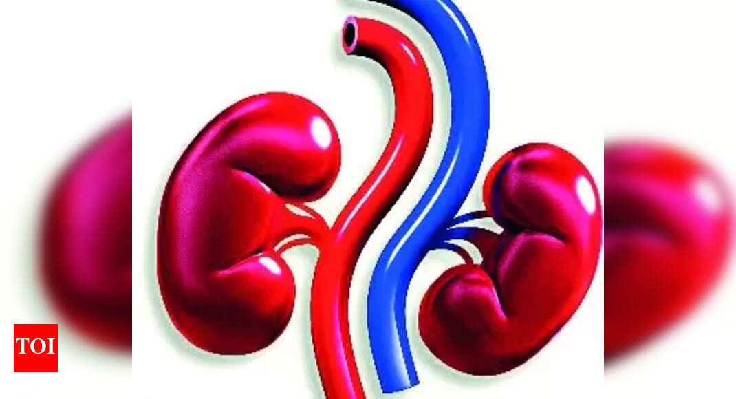 Kidney Removal Surgery: Rare Surgery: 4kg Kidney Removed from 52-year ...