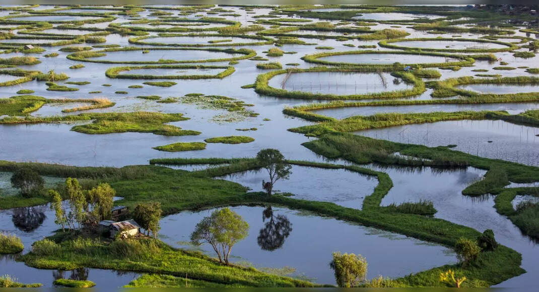 Wetlands in India and why they are important for us | TimesTravel