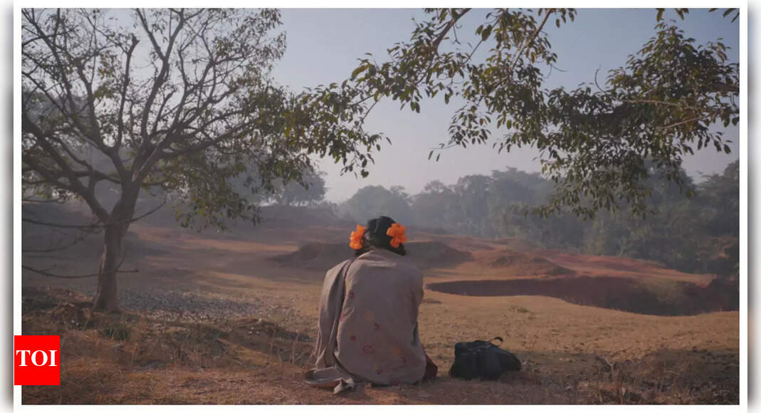 Oscar 2024: Indian documentary feature film 'To Kill A Tiger' gets ...