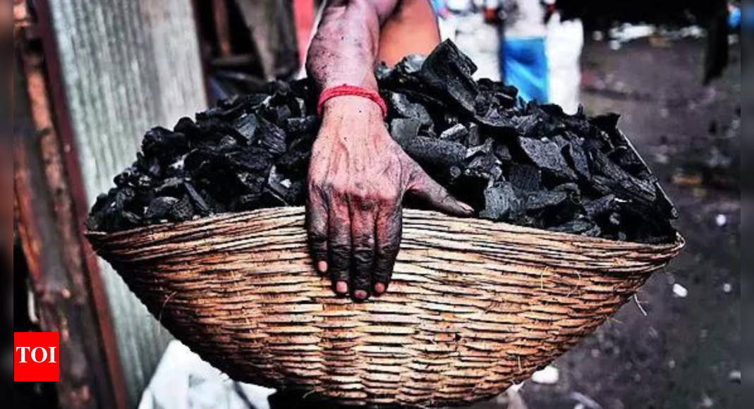 Thermal coal import down 40% in April-December on higher domestic ...