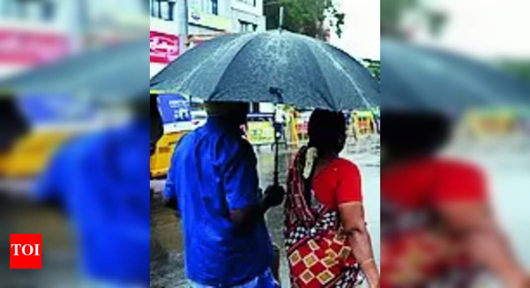 Rain In Nagpur: Rain in Nagpur: Mild Showers Expected Till January 29 | Nagpur News - Times of India
