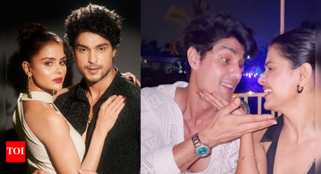 Bigg Boss 16 Fame Priyanka Chahar Choudhary Shares A Romantic Video