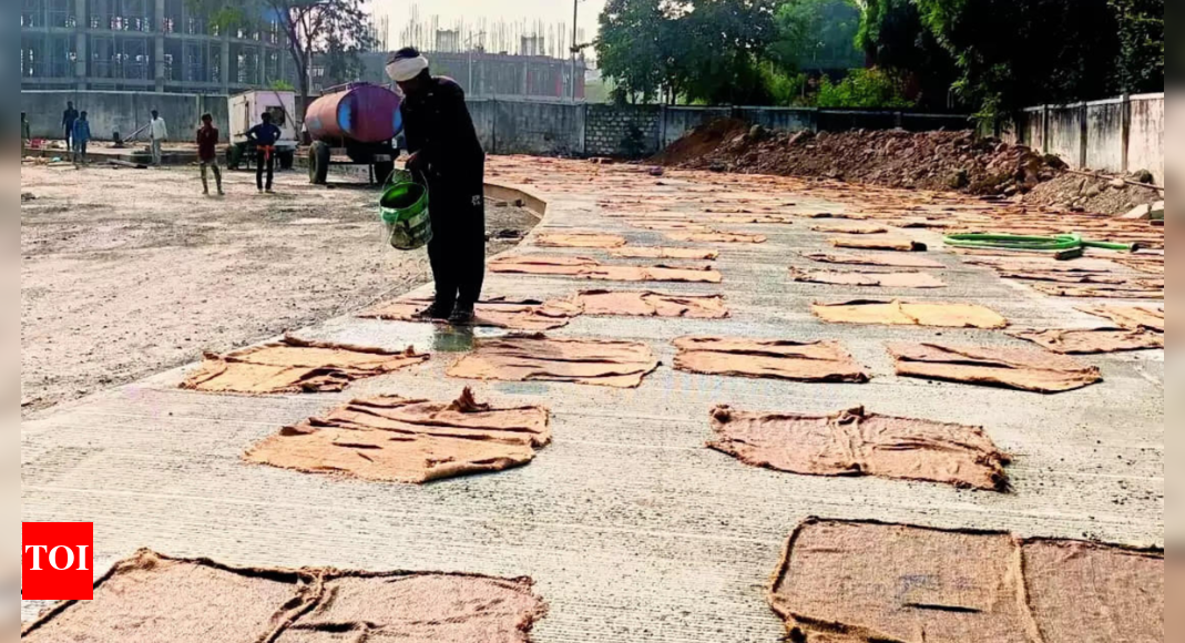 New Route: Pune Airport News: New route from Vimannagar to Lohegaon ...