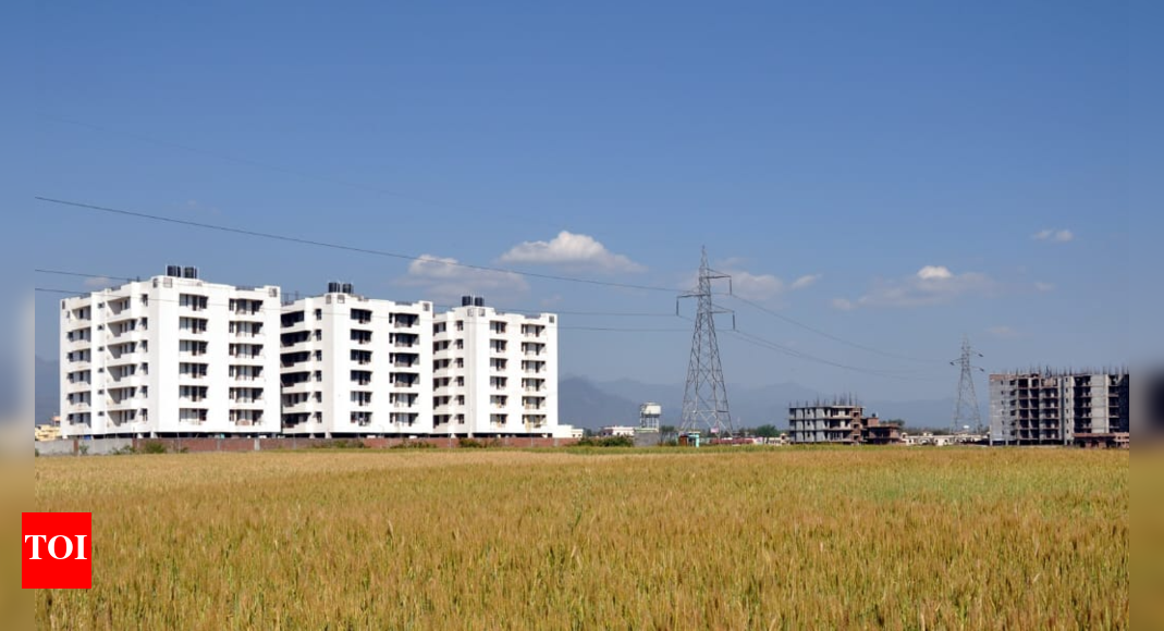 Doon Basmati Rice Cultivation Declines by 62% in 5 Years | Dehradun ...
