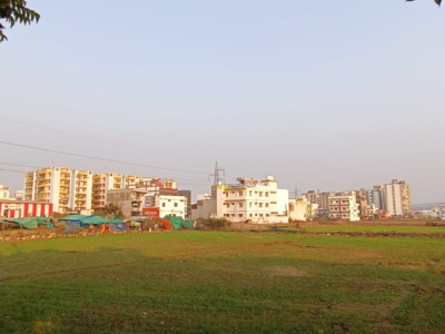 Doon Basmati Rice Cultivation Declines by 62% in 5 Years | Dehradun ...