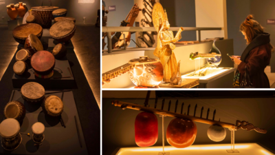 Taus, Esraj, Tuila: Rare musical instruments on display in Delhi ...