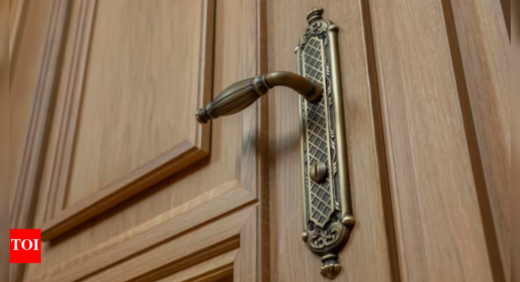 Designer Door Handles For The Main Door Of The House - The Times Reviews