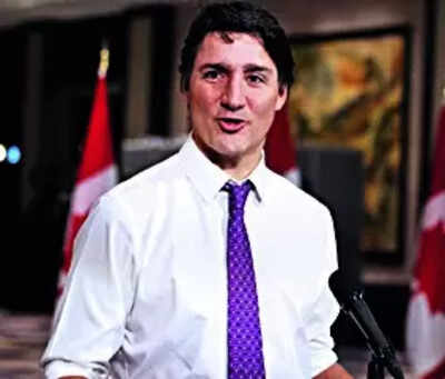 India Meddling In Polls: Investigating Alleged Indian Interference in Canadian Federal Elections ...