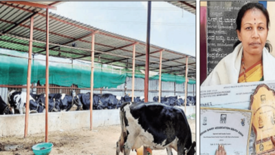 Dairy Farming: Woman’s Dairy Farming Success: 5 to 46 Cows | Indian ...