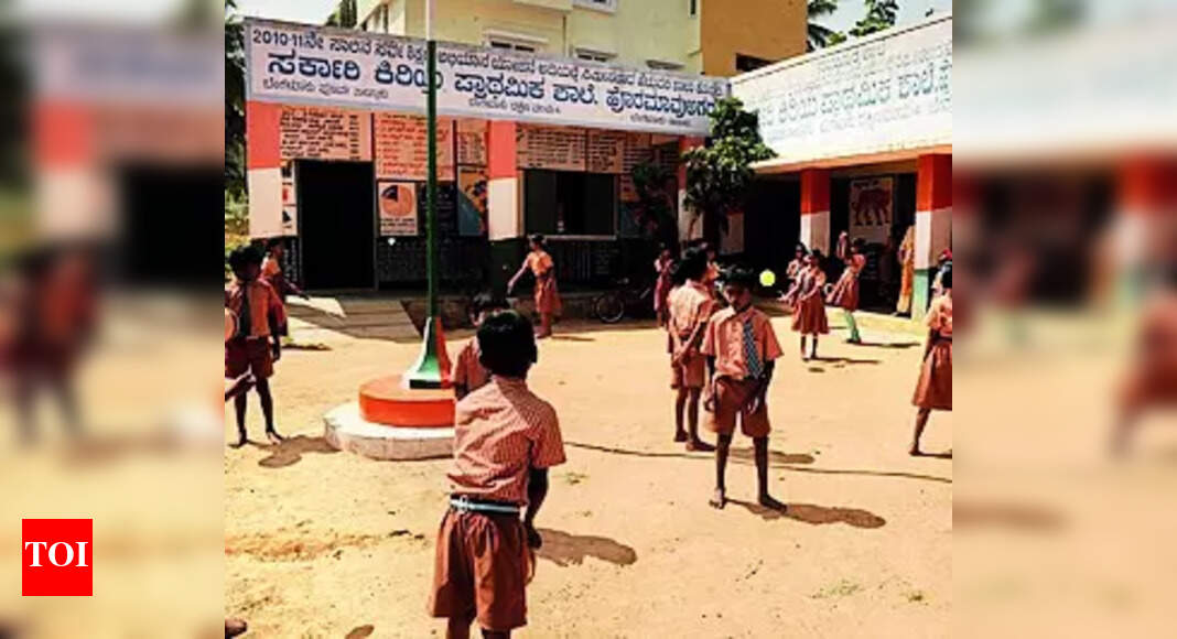 Government Schools: Government Forms Two Panels to Develop Govt Schools ...
